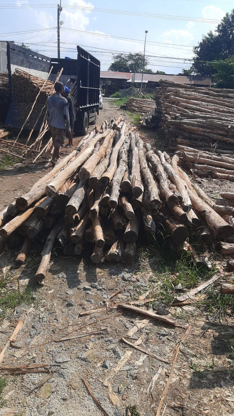 Jual Kayu Dolken Gelam Murah Surakarta - Jual Kayu Dolken Gelam