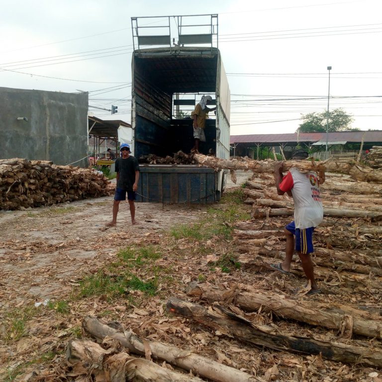 Jual Kayu Dolken Bojonegoro - Jual Kayu Dolken Gelam
