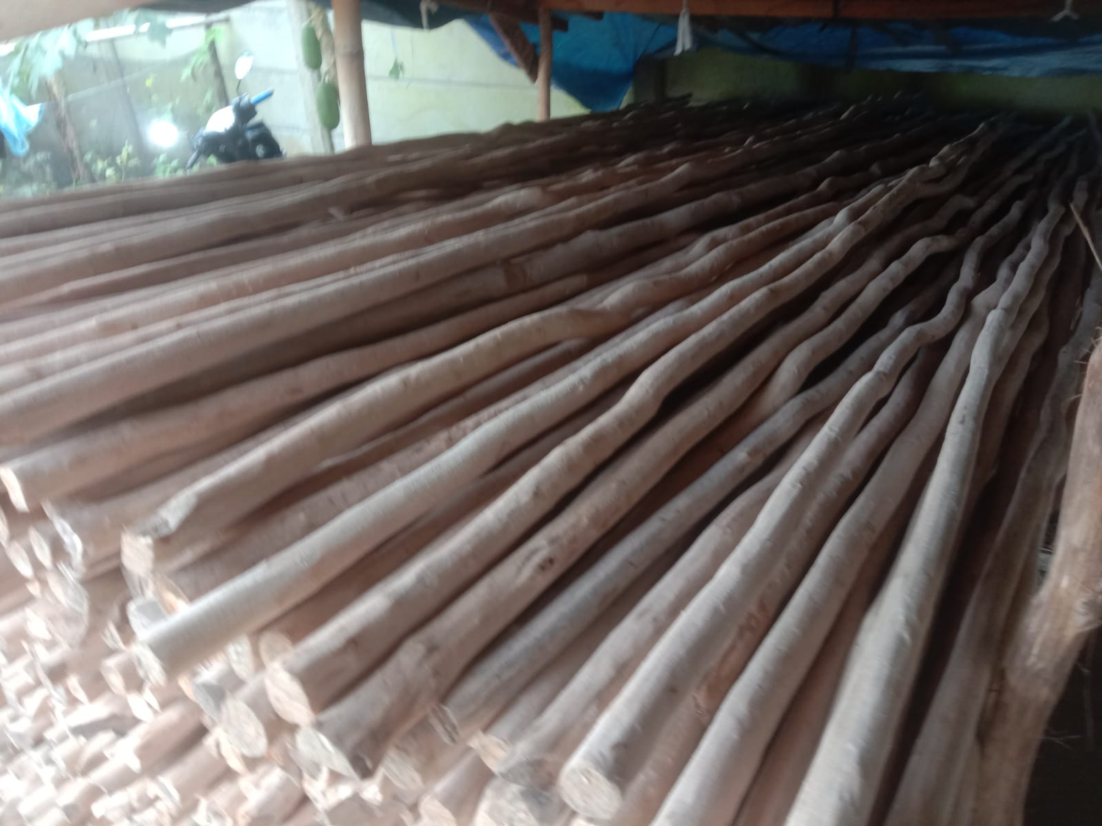 Jual Kayu Dolken untuk Konstruksi dan Interior Hotel-081311400177 ...